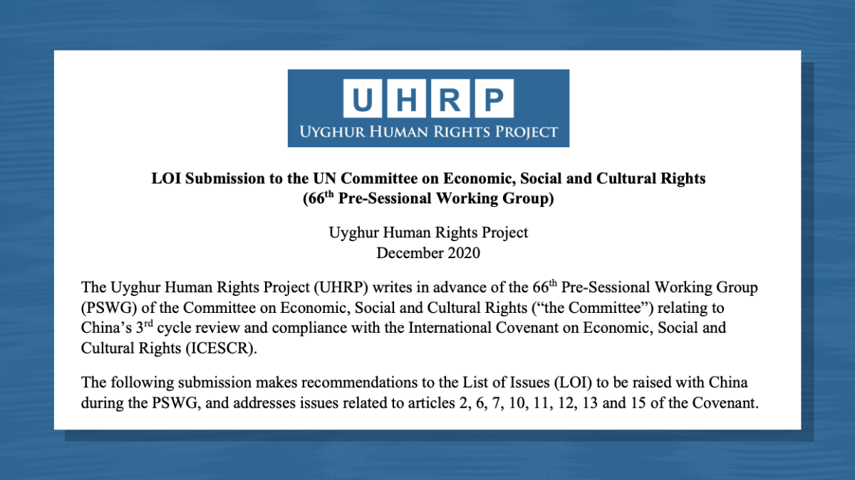 List of Issues Submission to the United Nations Committee on Economic ...