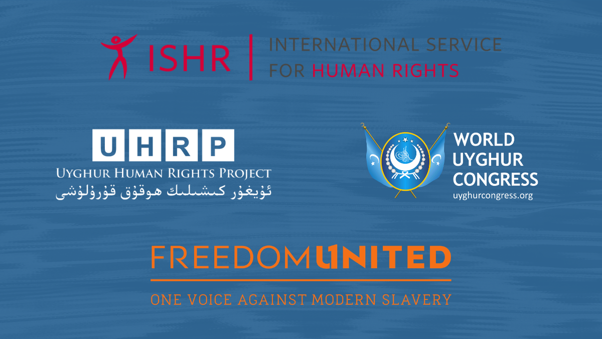 Civil society groups welcome action by UN human rights experts to ...